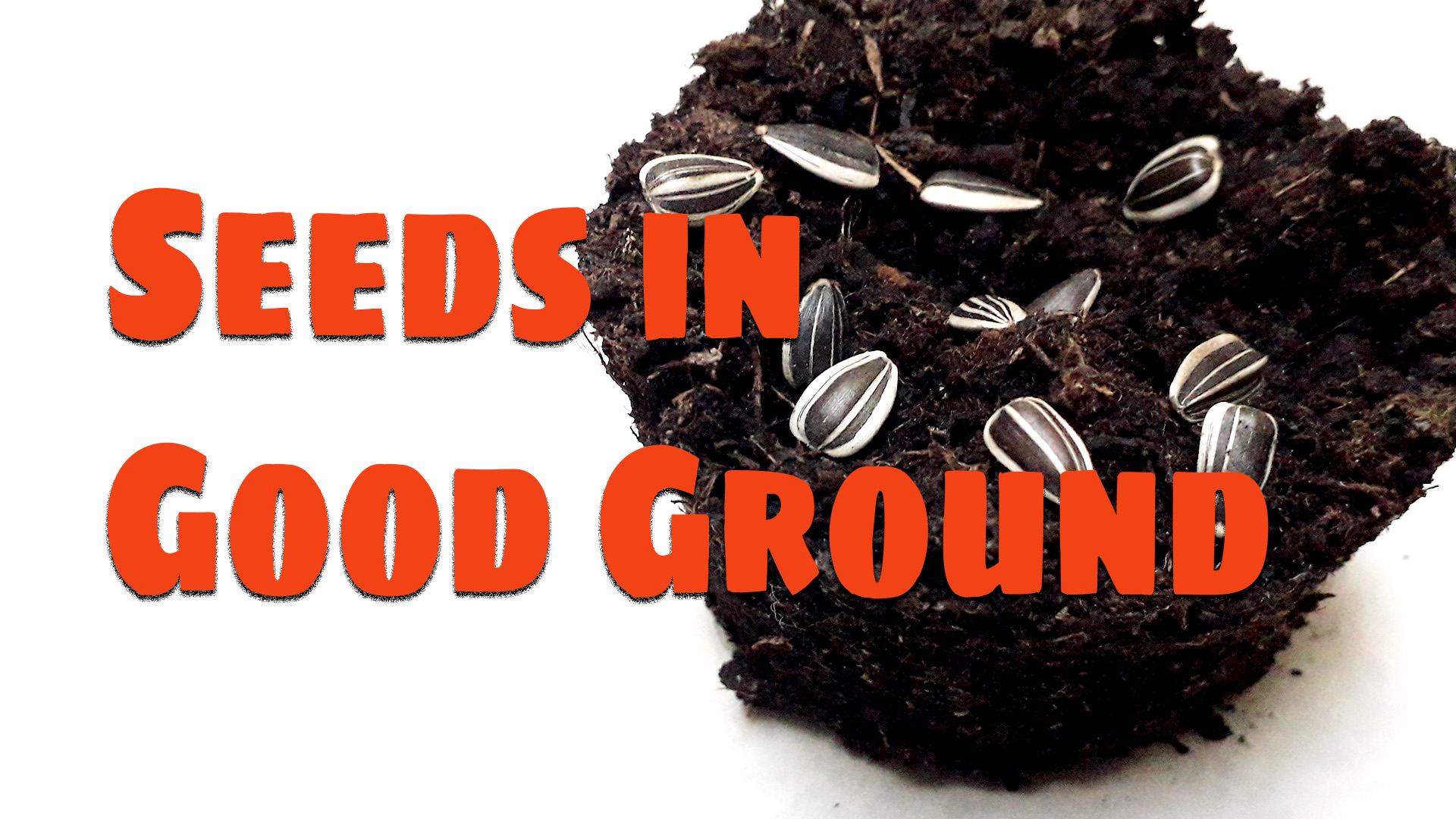 Seeds on good soil - BeKids